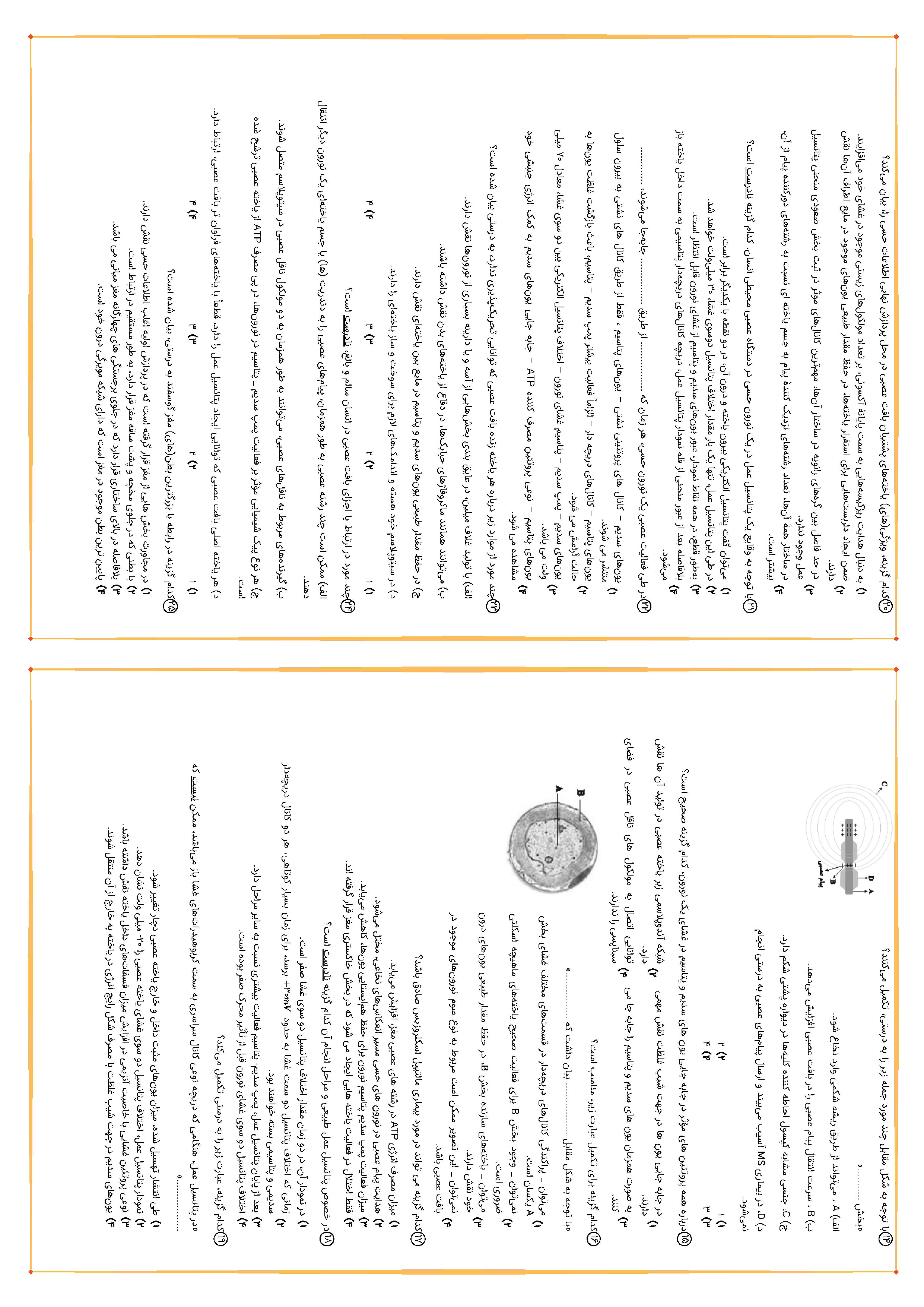 قیمت و خرید پک جزوه +بانک تست زیست یازدهمی ها استاد همدانی (کنکوری ها تهیه نکنند) 1404-1403